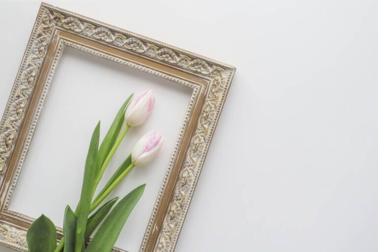 【額装イメージが簡単にできる！】アプリと額縁シミュレーションを紹介します。 | 文字と紙